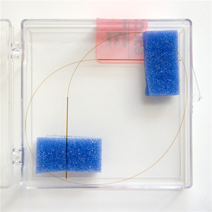 World Precision Instruments | SILFLEX-2