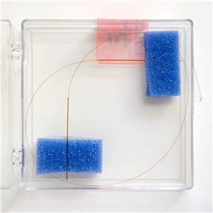 World Precision Instruments | SILFLEX-2