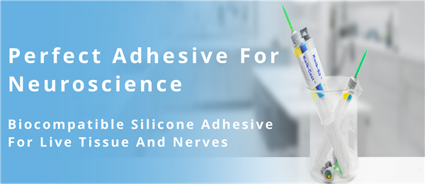 World Precision Instruments